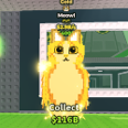 Buy Meowl Steal a Brainrot | Eldorado.gg