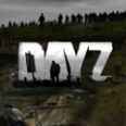Cheap DayZ Accounts For Sale | Eldorado.gg
